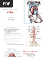 Fisio | PDF | Abdomen | Aorta