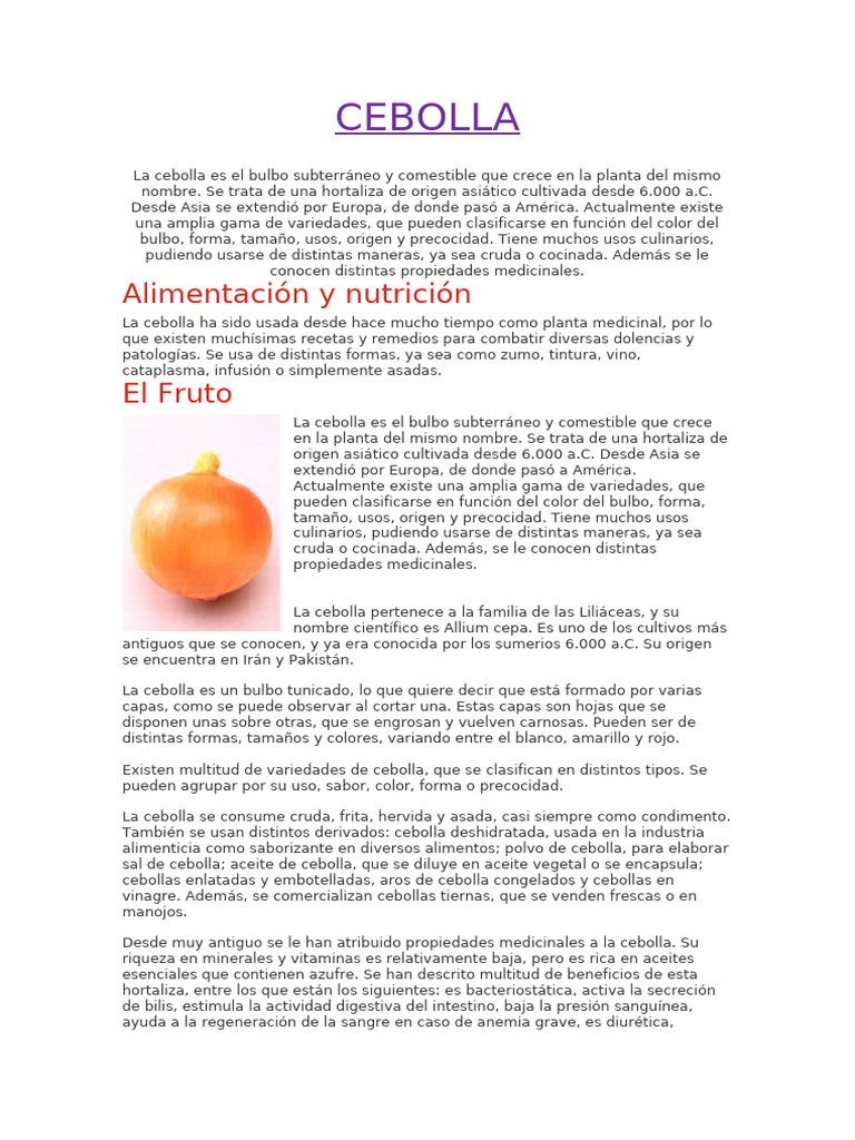 CEBOLLA | PDF | Cebolla
