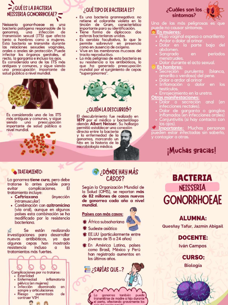 Final Triptico | PDF