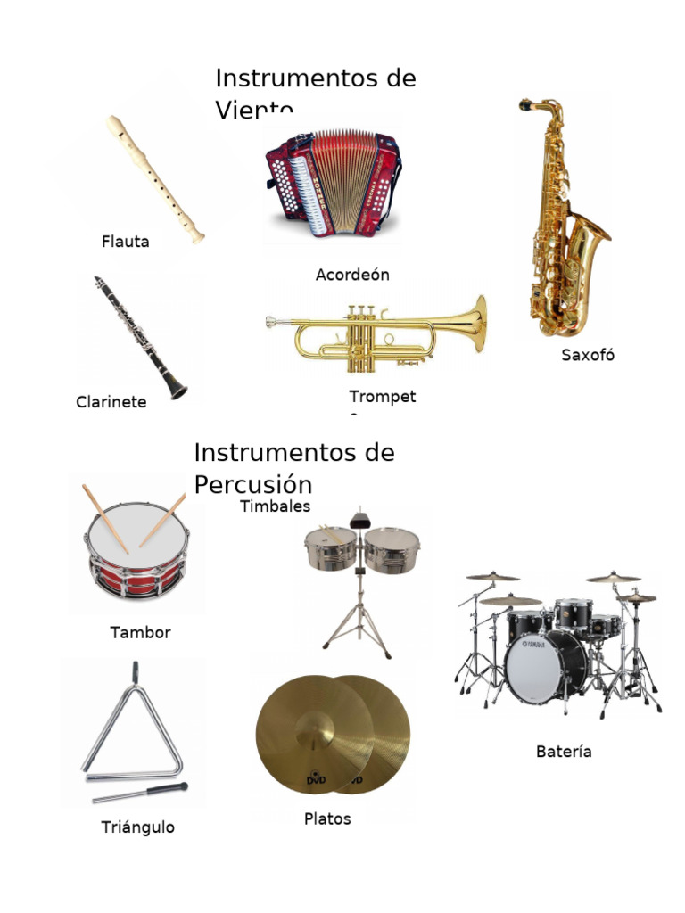 Instrumentos Musicales: Viento, Percusión y Cuerda | PDF