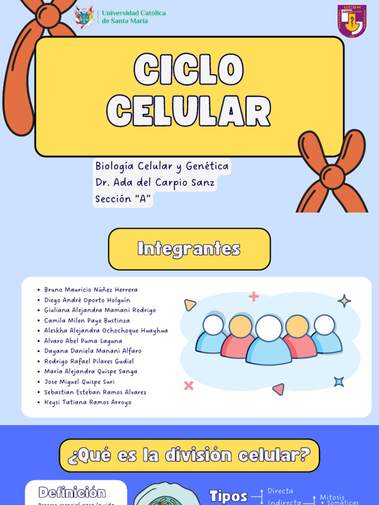 Grupo 3 - Ciclo Celular, Mitosis y Meiosis | PDF | Mitosis | Mitosis