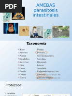 Protozoos Sarcodinos G5 | PDF | Organismos | Biología