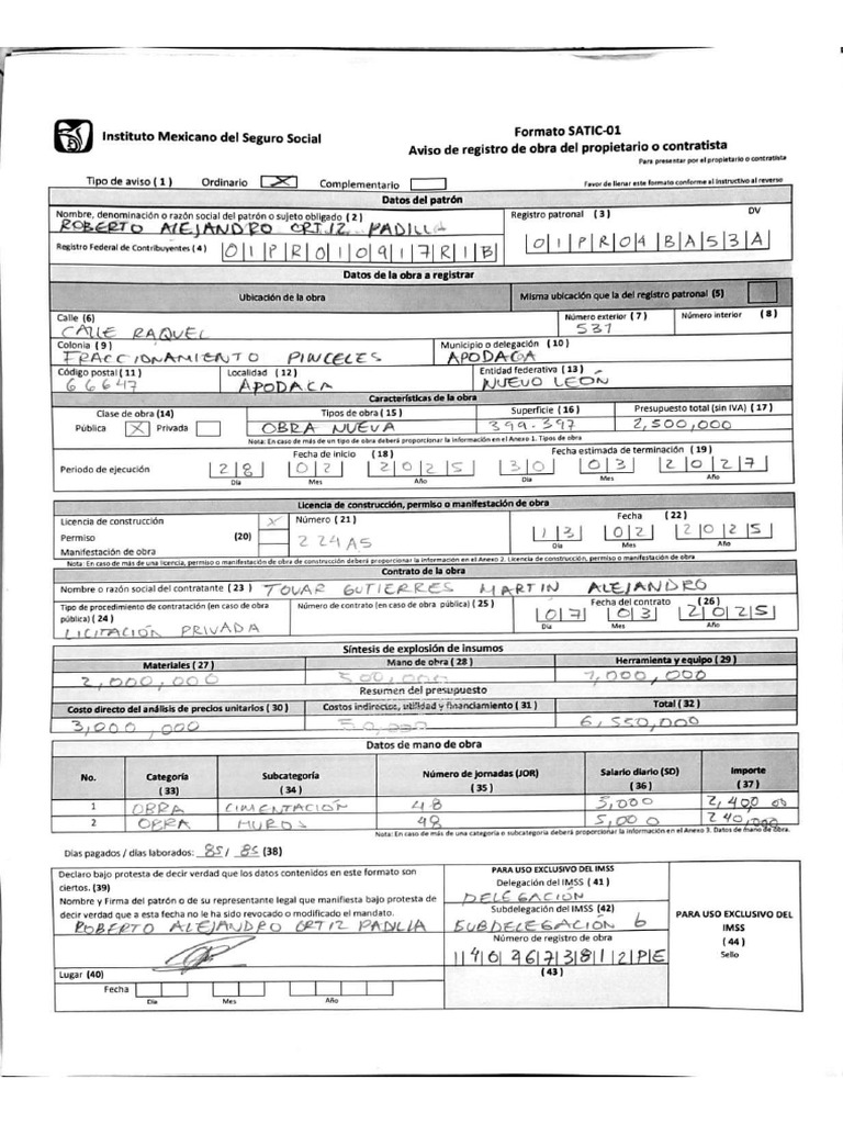 Formato SATIC-01 | PDF