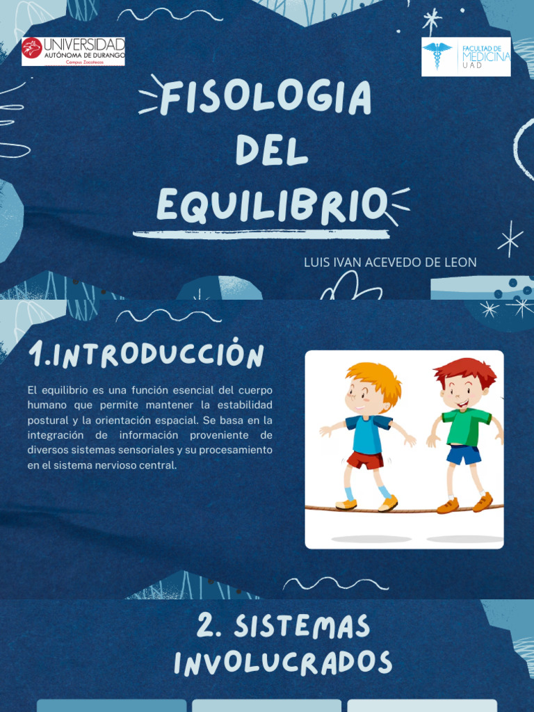Fisiología del Equilibrio Humano | PDF | Cerebro | Sistema nervioso central