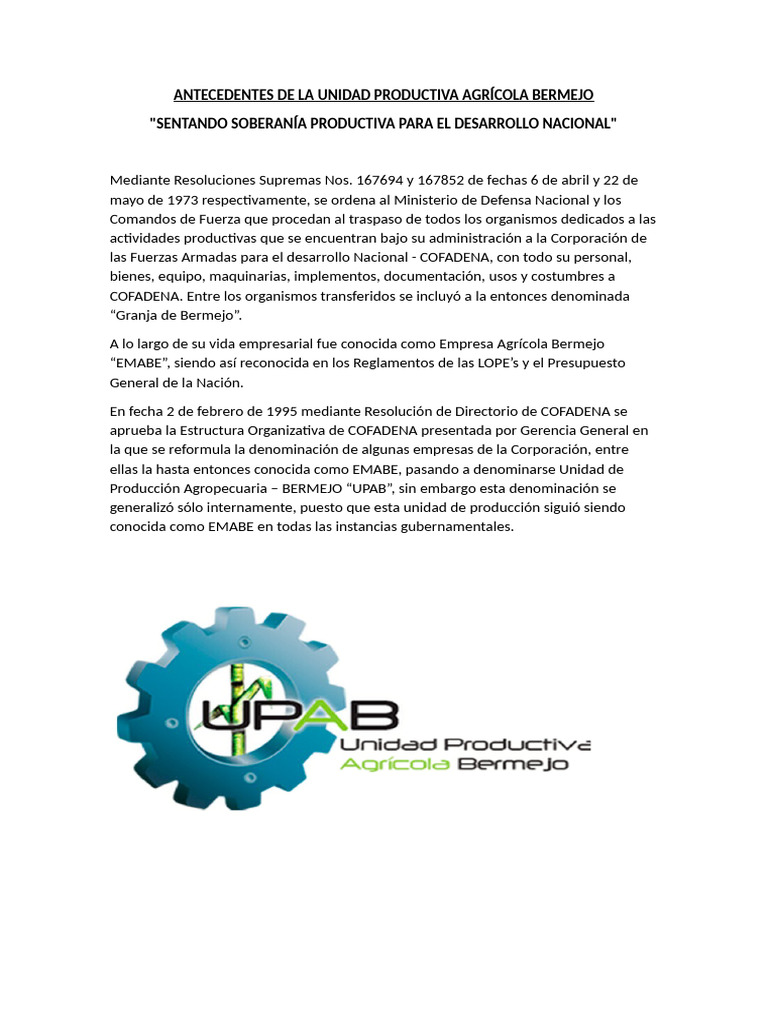 Historia y Desafíos de UPAB Bermejo | PDF | Business | Planificación