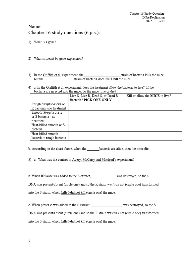 DNA Replication Study Questions | PDF | Dna Replication | Dna
