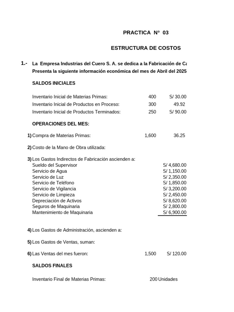 Practica Dirigida #03 Estructura de Costos | PDF | Economias | Sector secundario de la economía