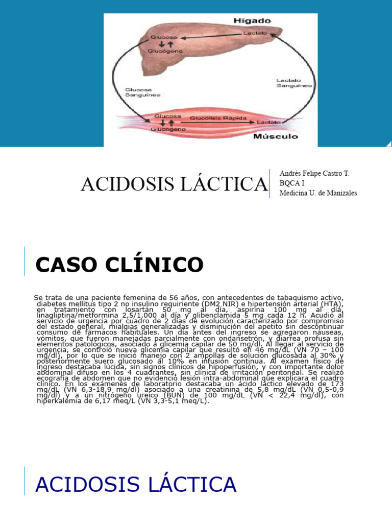 Acidosis Láctica en Diabetes y Tratamiento | PDF
