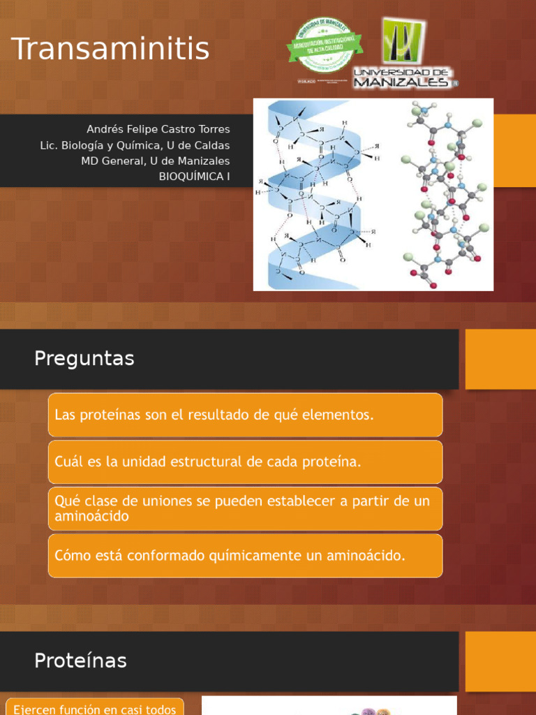 Transaminitis 2 | PDF