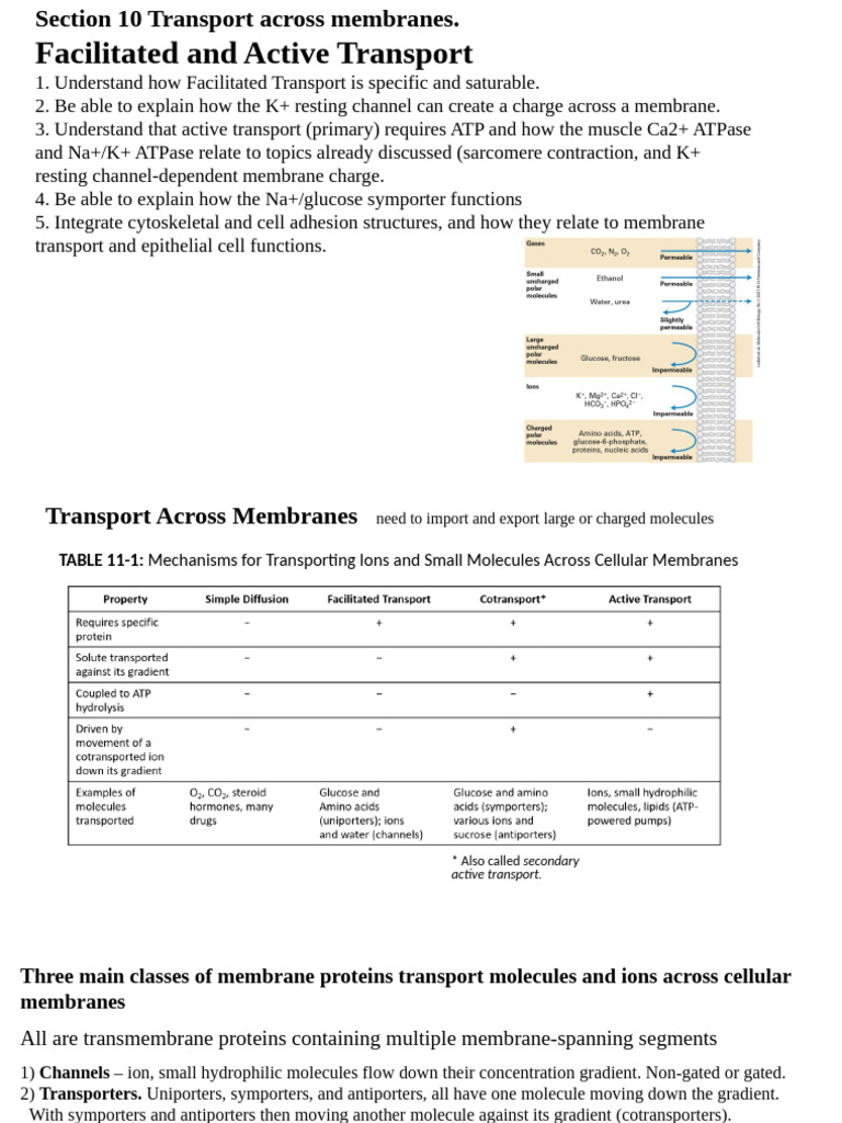 Membrane Transport Mechanisms Explained | PDF | Cell Membrane | Ion Channel