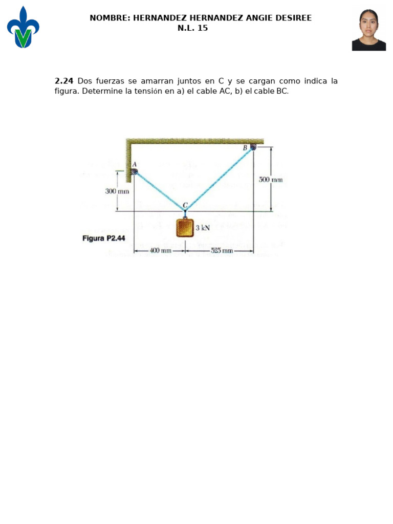 Ejercicio Estatica | PDF