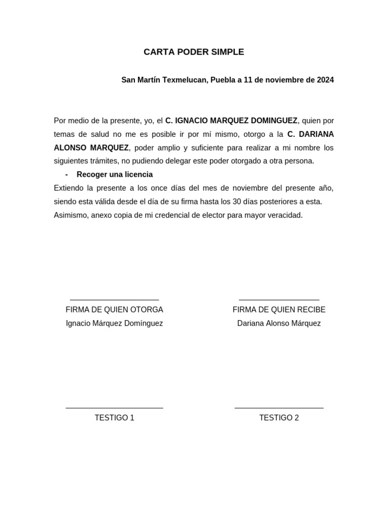 Carta Poder Simple2 | PDF