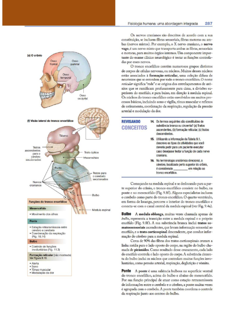 SNC - Atividade Aula | PDF