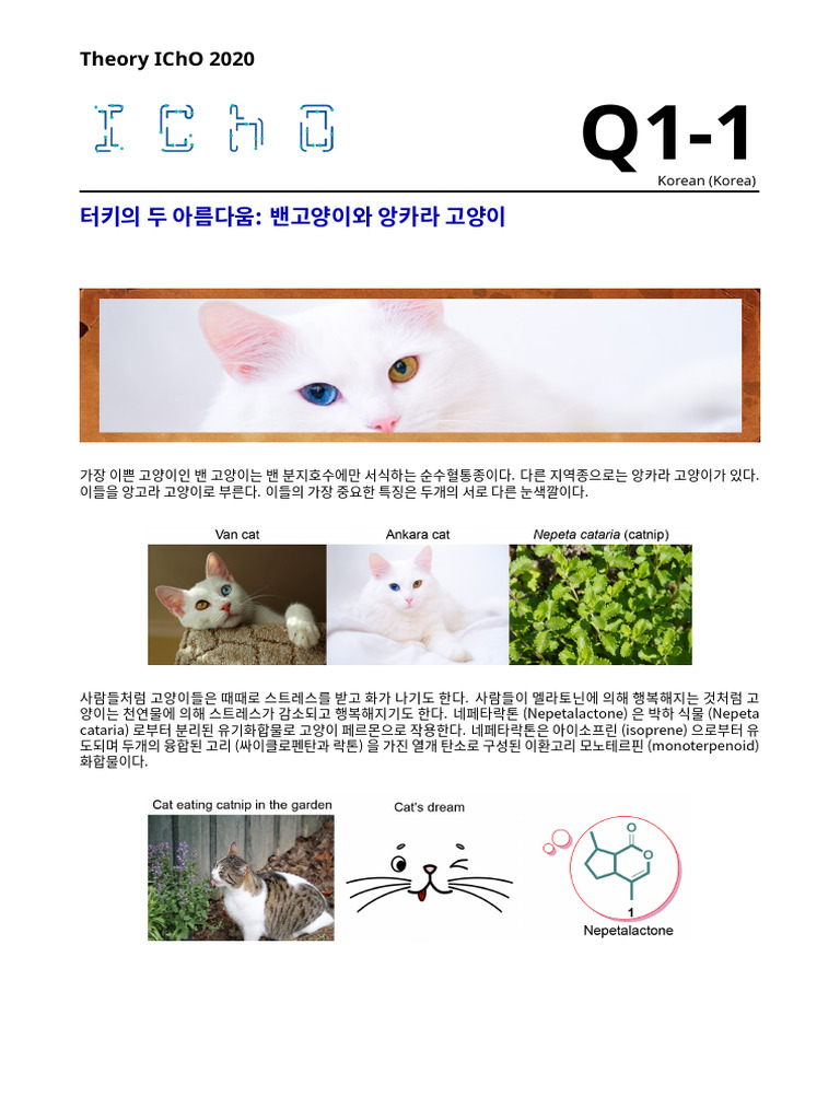 IChO-2020 exam-theory Q1~9 | PDF