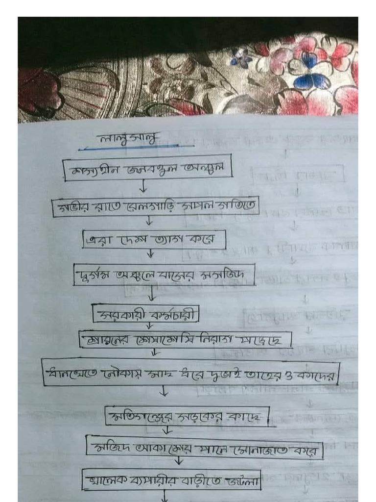 Lalsalu Notes | PDF