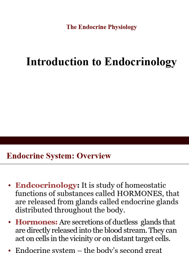 Endocrinology 1 - Introduction Edited | PDF | Endocrine System | Hormone