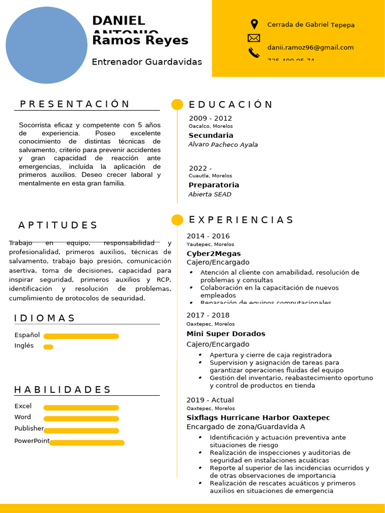 85 Curriculum Vitae Espanol | PDF