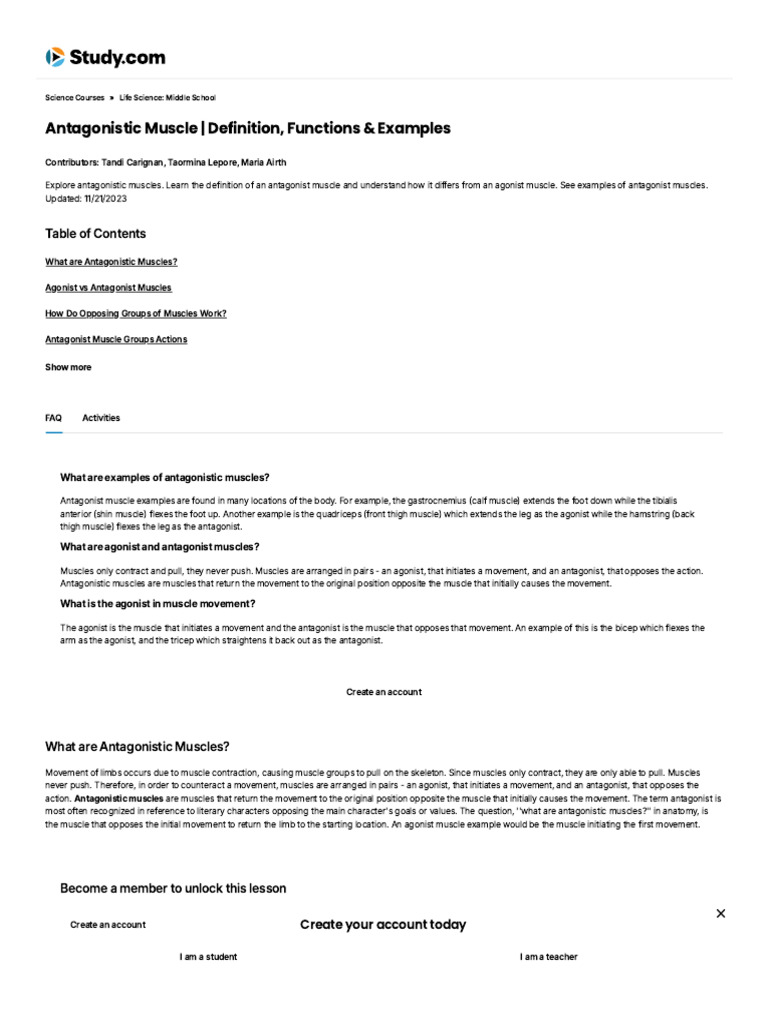 Antagonistic Muscle - Definition, Functions & Examples - Lesson | PDF ...