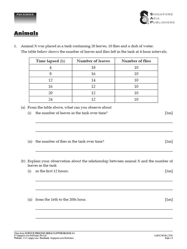 Animals Classifyinganimals Pdf Birds Fly