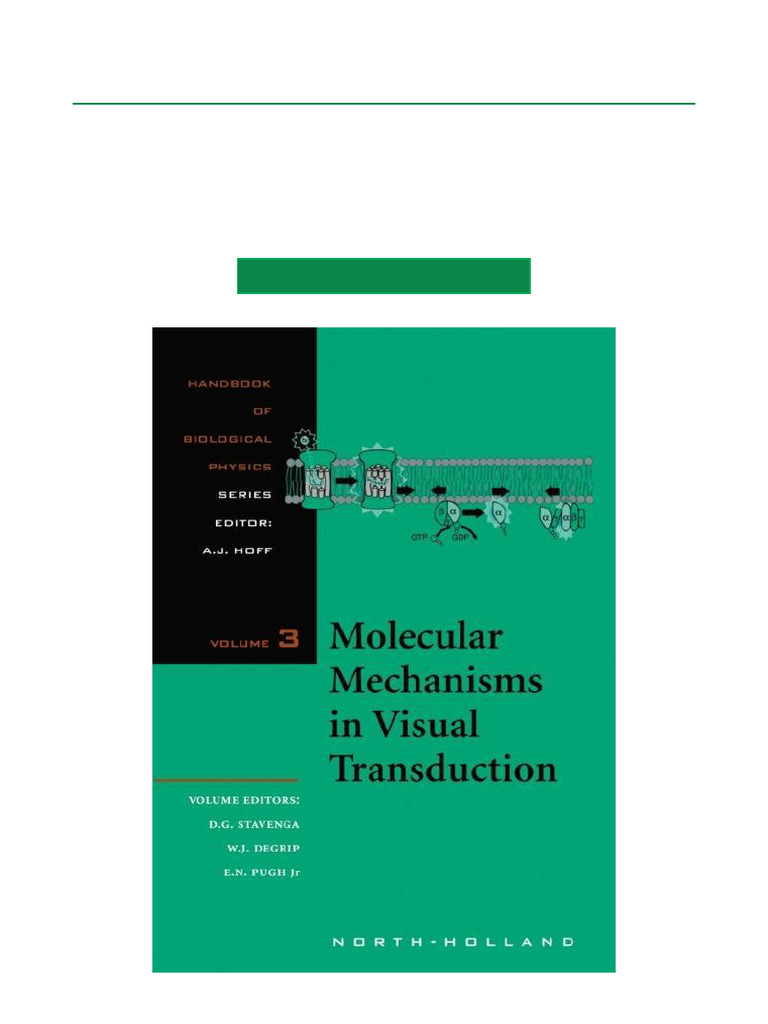 Visual Transduction Mechanisms Explained | PDF