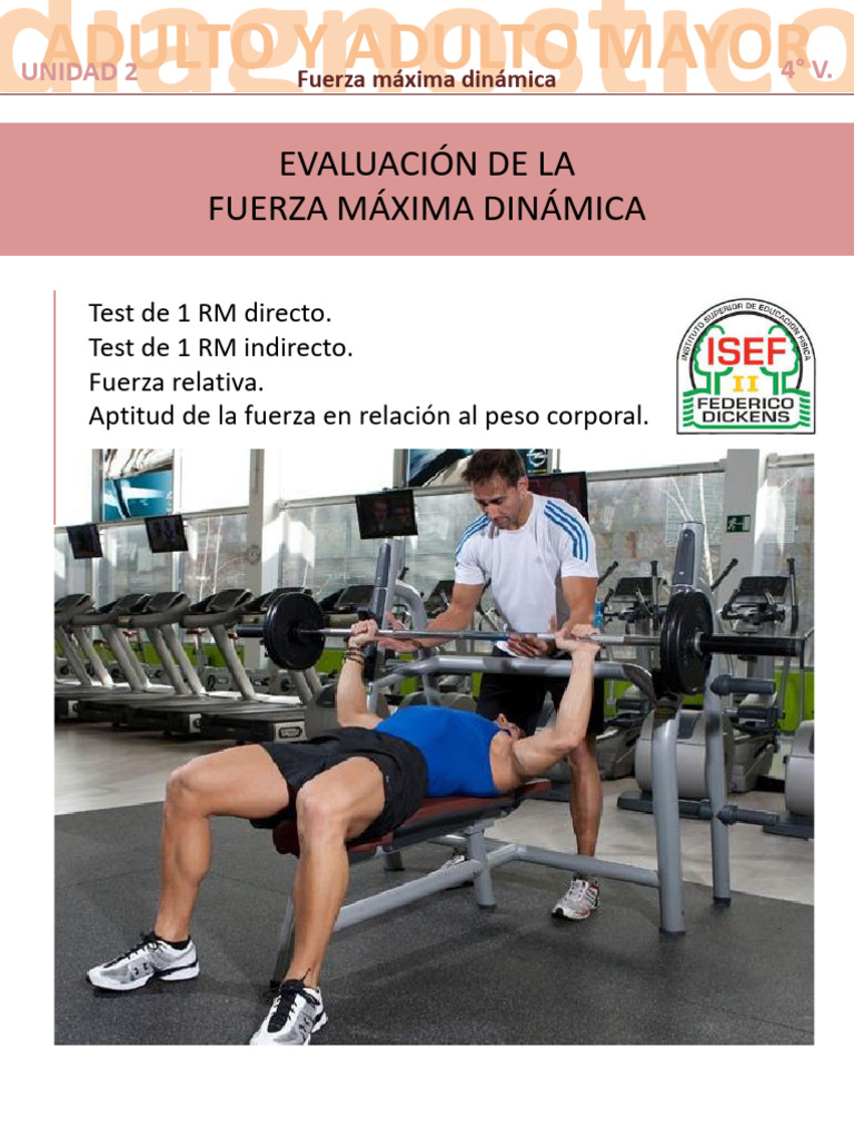 Fuerza Maxima Dinamica | PDF | Fuerza | Estrés (biología)