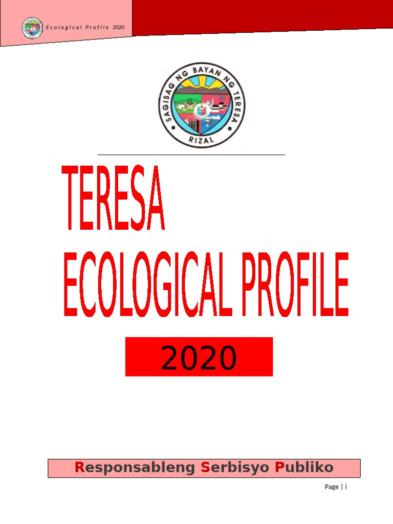 Ecological Profile 2020.222 | PDF | Hazards | Rain