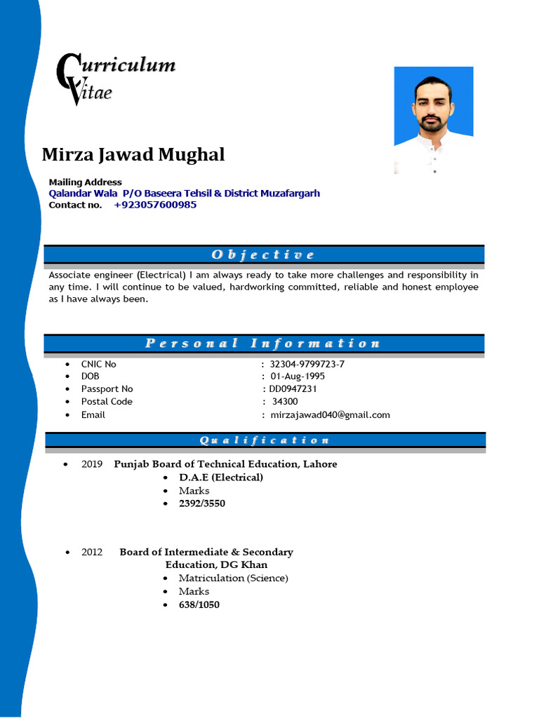 Mirza Jawad CV | PDF | Languages Of India | Punjab