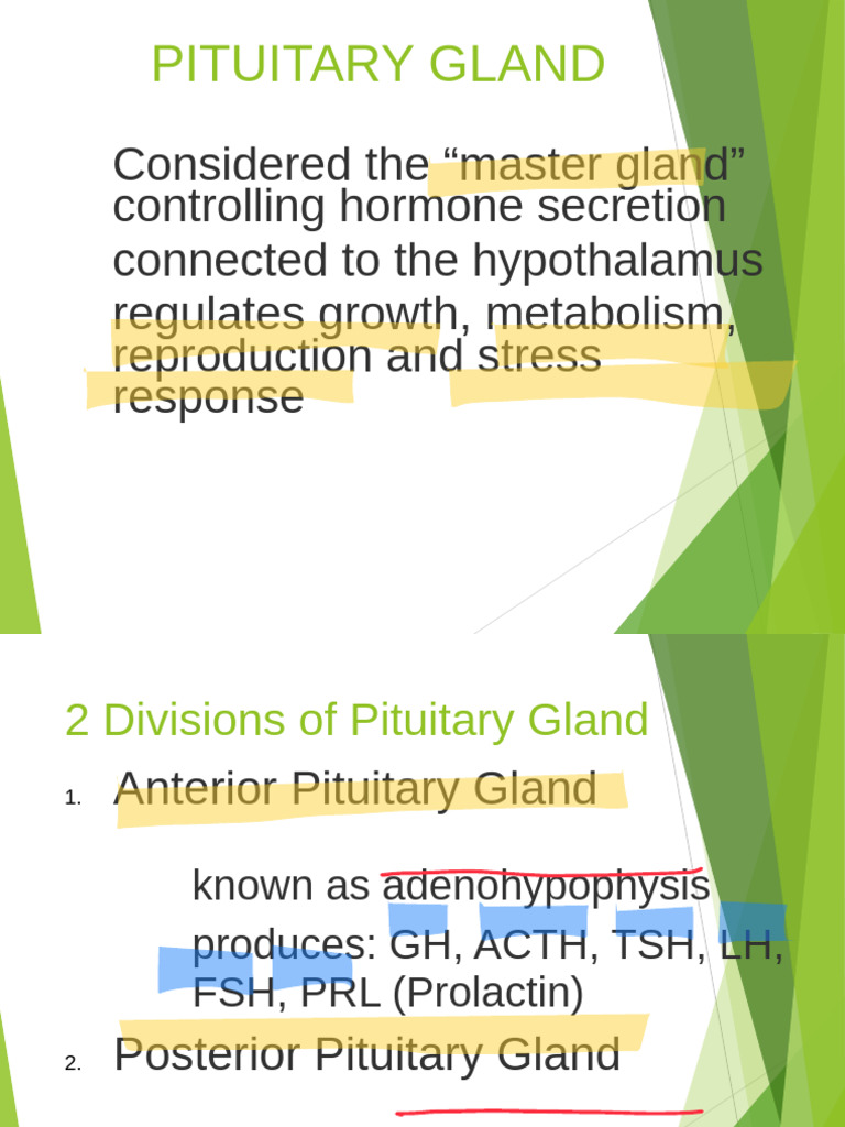Hypo Hyperfunction+of+the+Pituitary+Gland | PDF | Growth Hormone | Glands