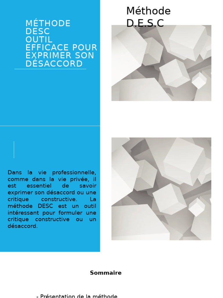 Méthode DESC - Ppt.rev | PDF