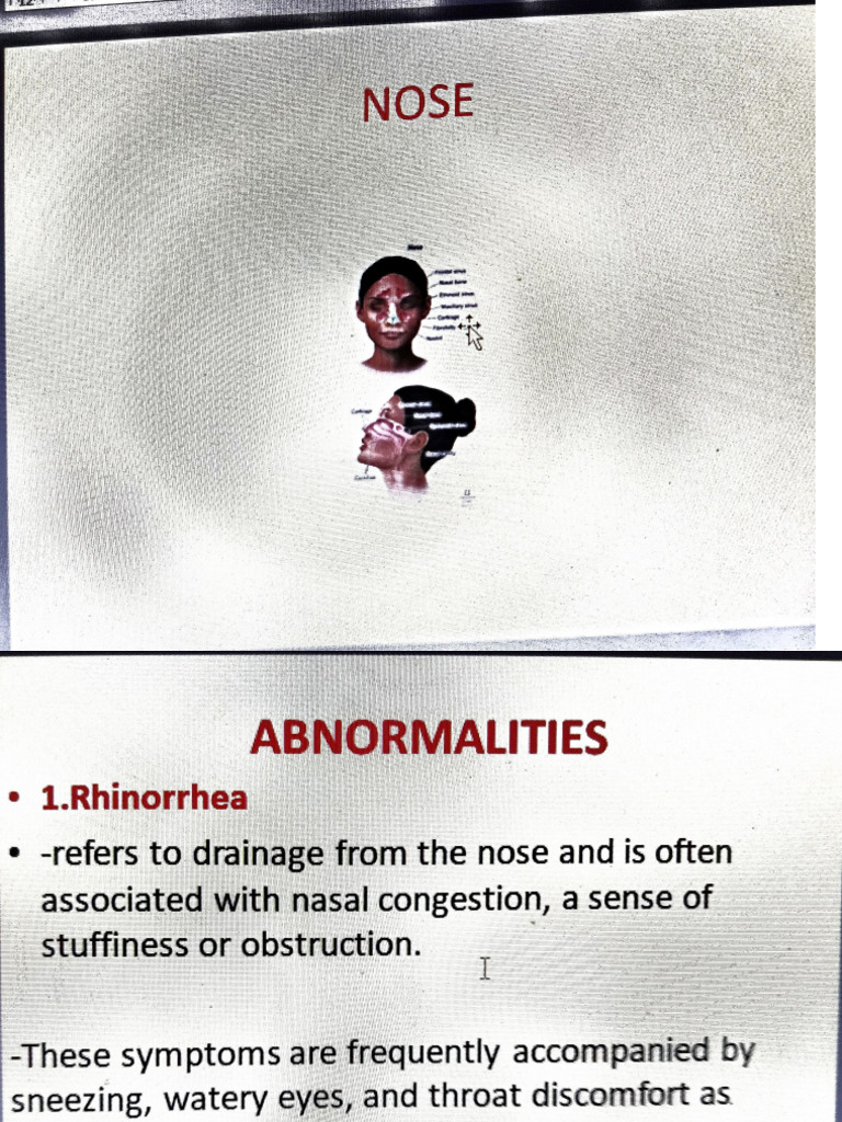 Nose To Mouth | PDF