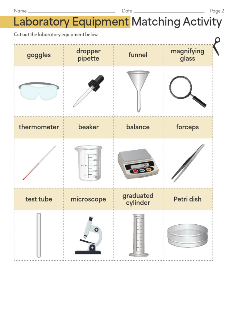Laboratory Equipment Matching Activity 2 | PDF
