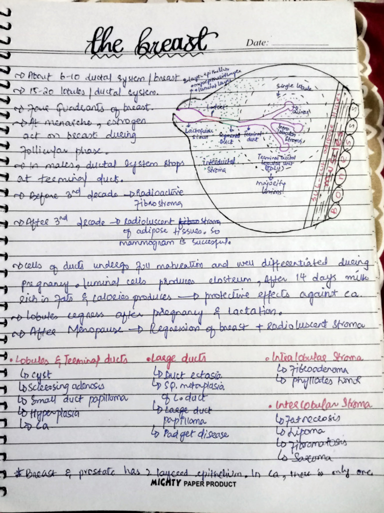 Breast- By Dr Naila (Syed Usama Qutbi- MBBS KMDC) | PDF