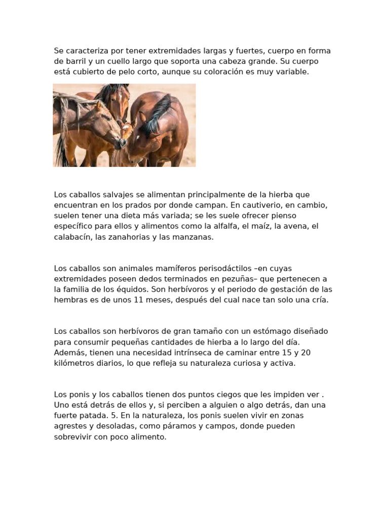Caballos | PDF