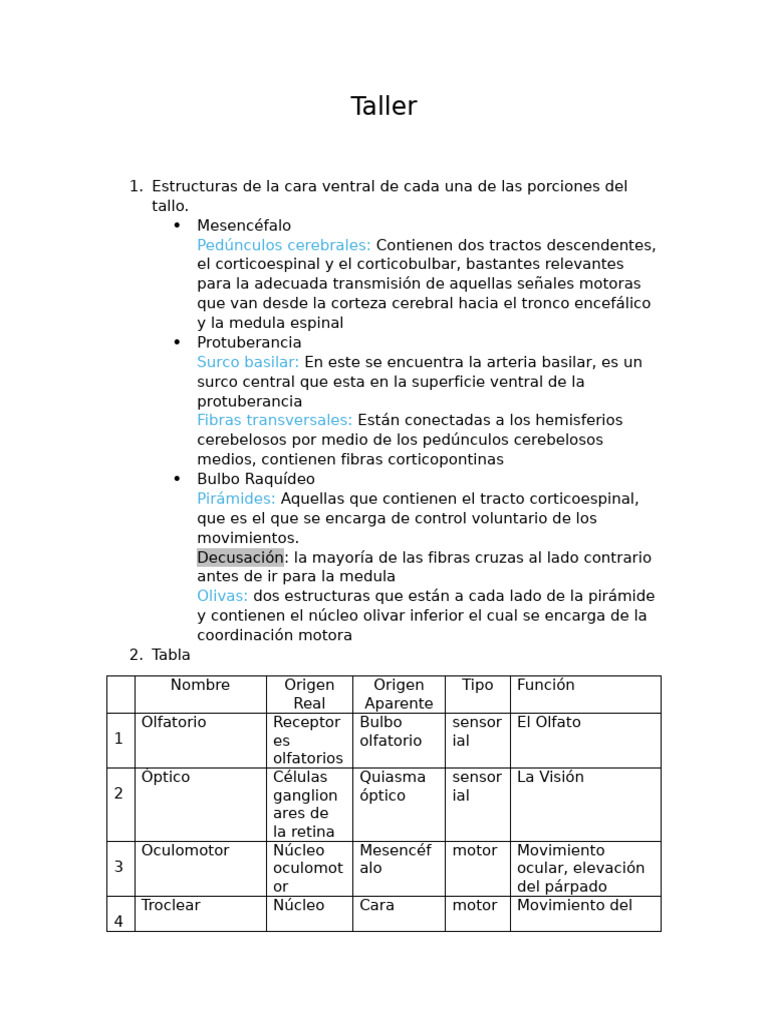 Estructuras y Funciones del Tallo Cerebral | PDF | Neuroanatomía ...