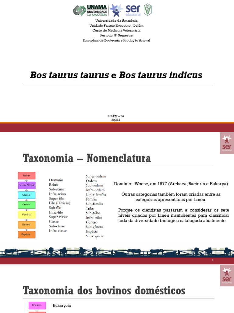 Diferenças entre Bos taurus e Bos indicus | PDF | Gado | Ásia