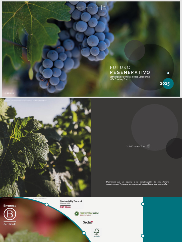 Estrategia Sustentabilidad Corporativa 2025 Esp | PDF | Sustentabilidad ...