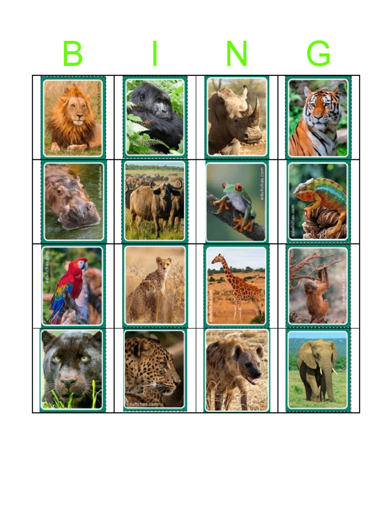 Bingo Animales | PDF