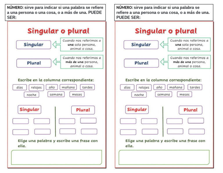 Apunte NUMERO Singular y Plural | PDF