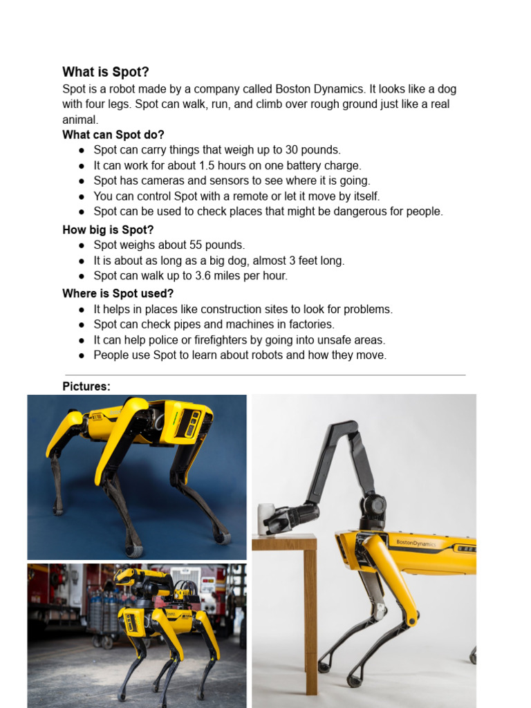 Overview of Boston Dynamics Spot Robot | PDF
