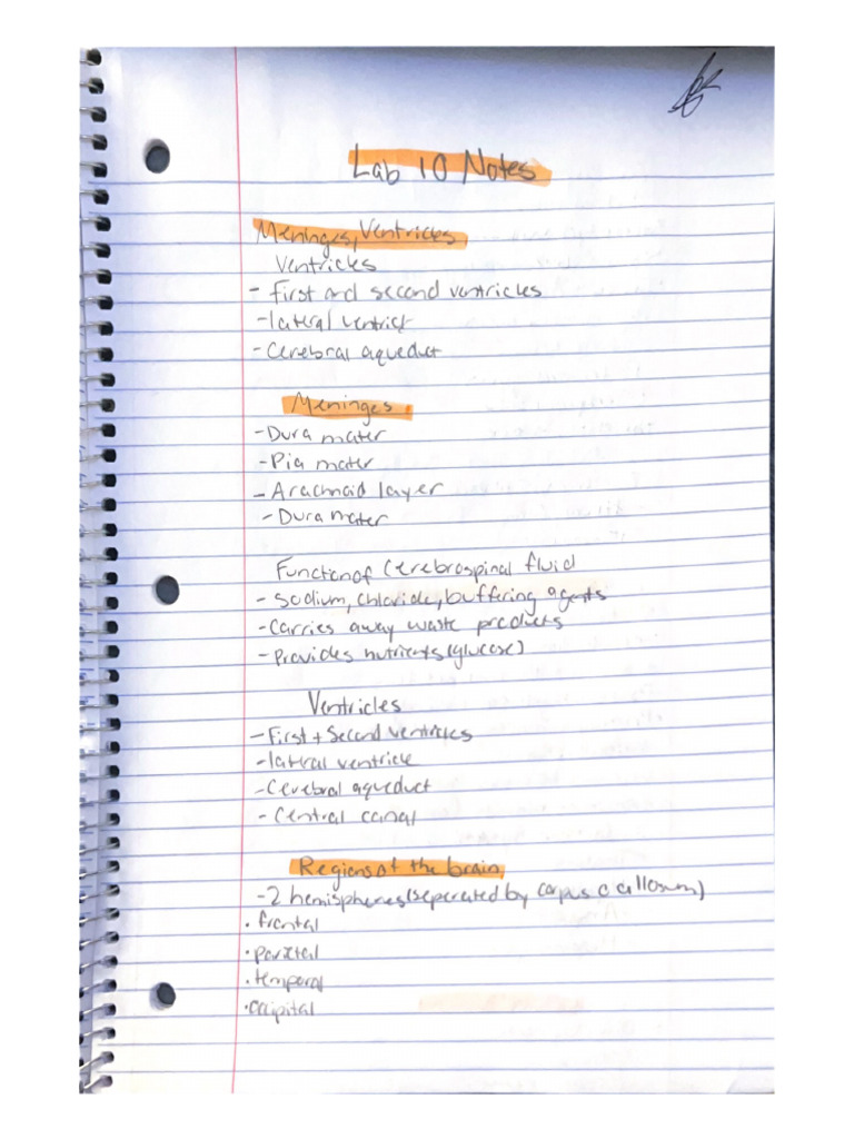 Lab 10 Notes | PDF