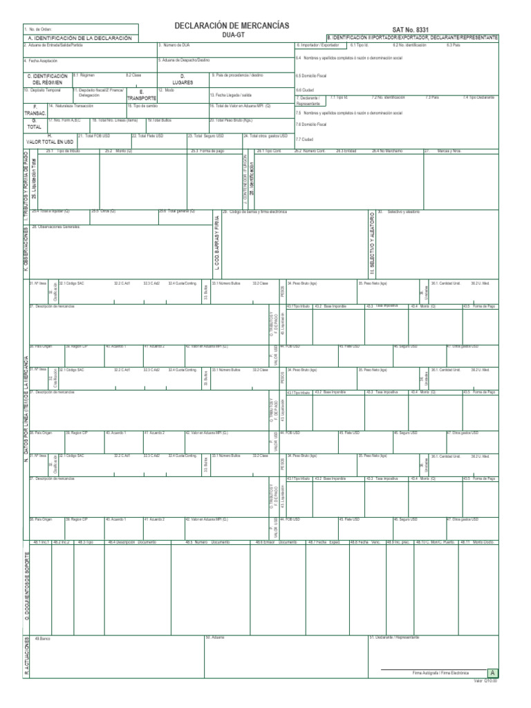 Formato de La Declaracion de Mercancias Dua GT | PDF