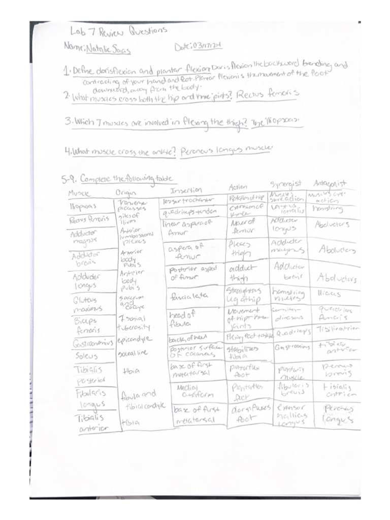 Lab 7 Review Questions | PDF