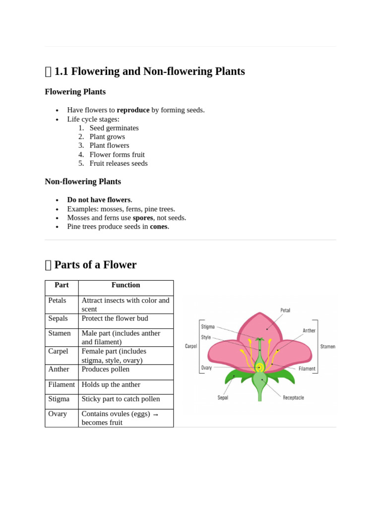 Parts and Pollination of Flowers | PDF | Flowers | Pollination