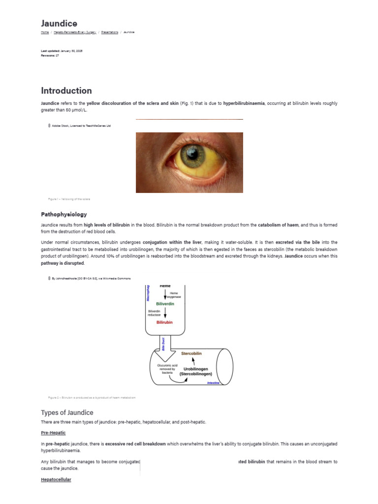 Jaundice - Pre, Intra, Post-hepatic - Management - TeachMeSurgery | PDF ...