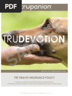 Horse Insurance Claim Form Guide | PDF | Insurance | Veterinary Medicine