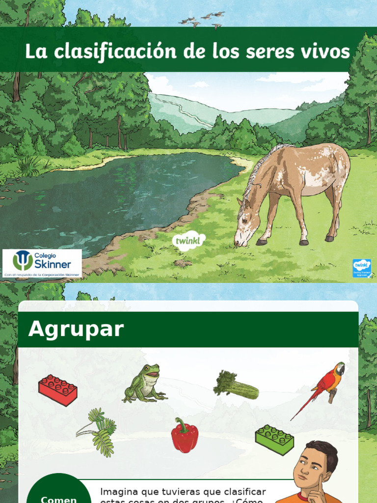 Clasificacion de Los Seres Vivos | PDF | Organismos | Taxonomía (biología)