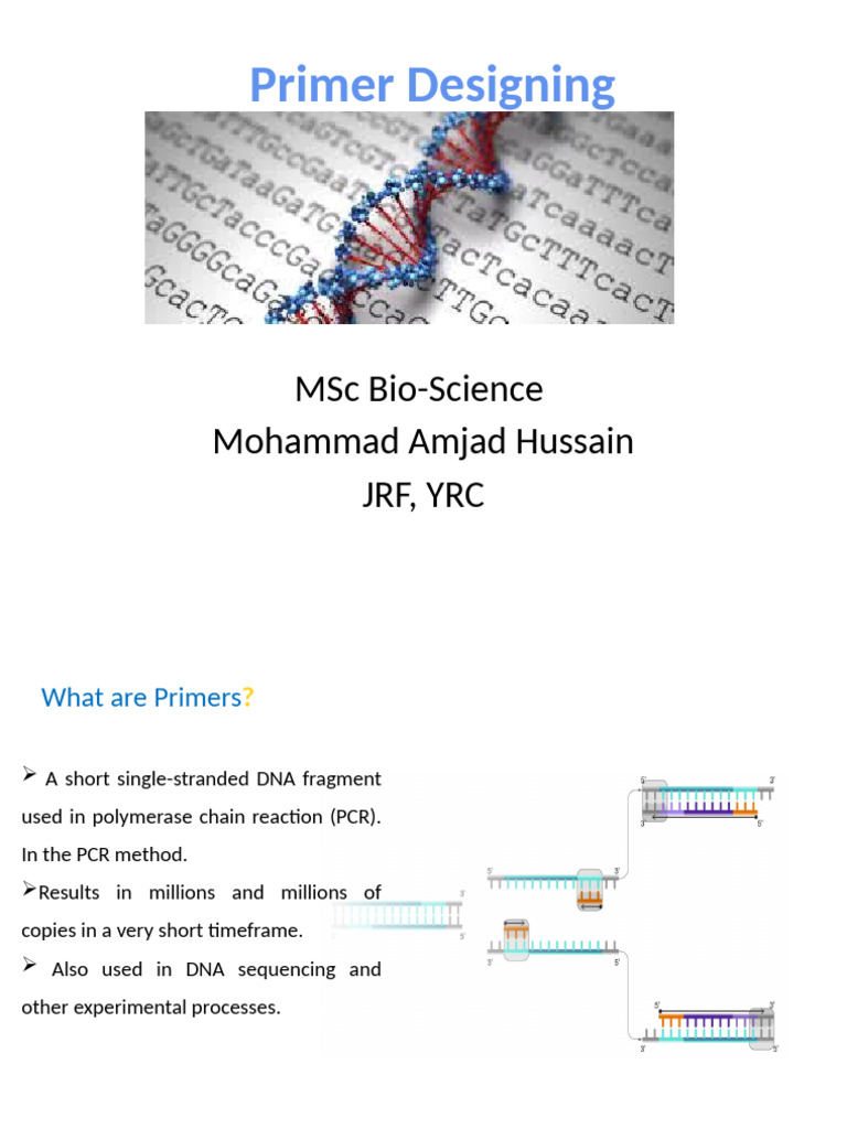 Primer Designing | PDF