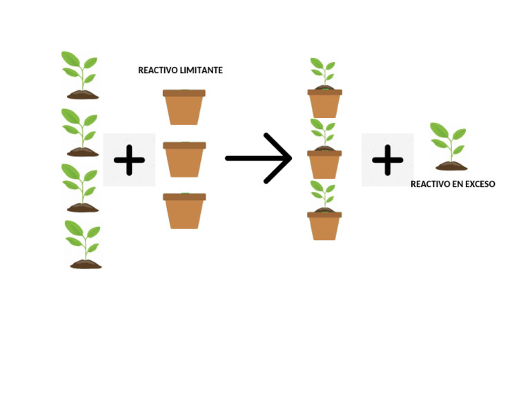 Ejemplo Reactivo Limitante y en Exceso | PDF