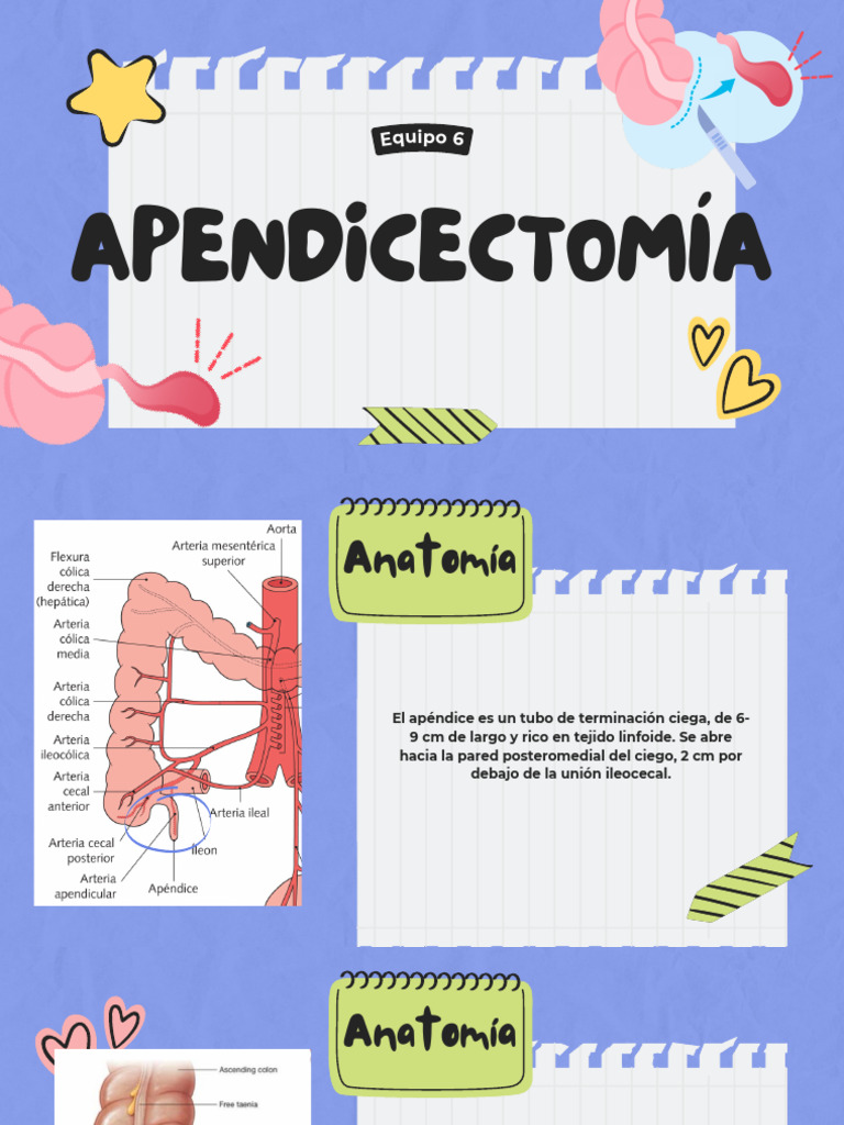 Apendicectomía: Procedimiento y Complicaciones | PDF | Tracto ...
