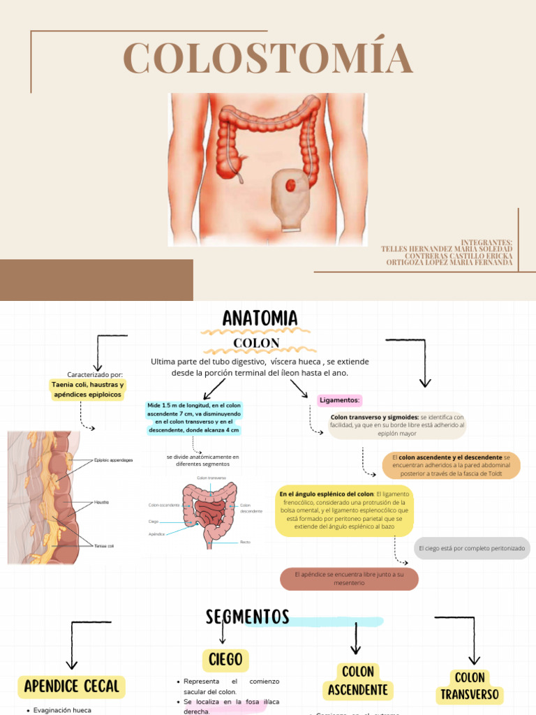 Tipos y técnicas de colostomía | PDF | Intestino grueso | Abdomen